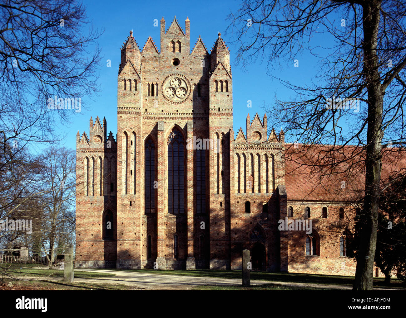 Chorin, Zisterzienserkloster, Kirche von Westen Stock Photo - Alamy