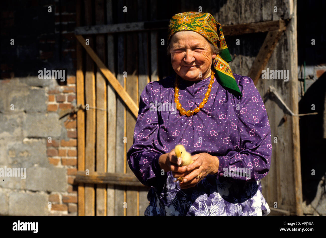 Poland Polish Farm Farmer Agriculture 1975 history historic Stock Photo ...