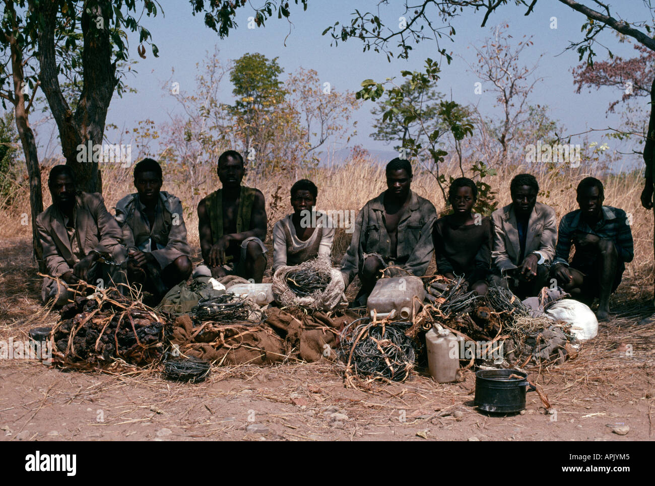 Poachers captured with game meat and wire snares by wildlife scouts in ...