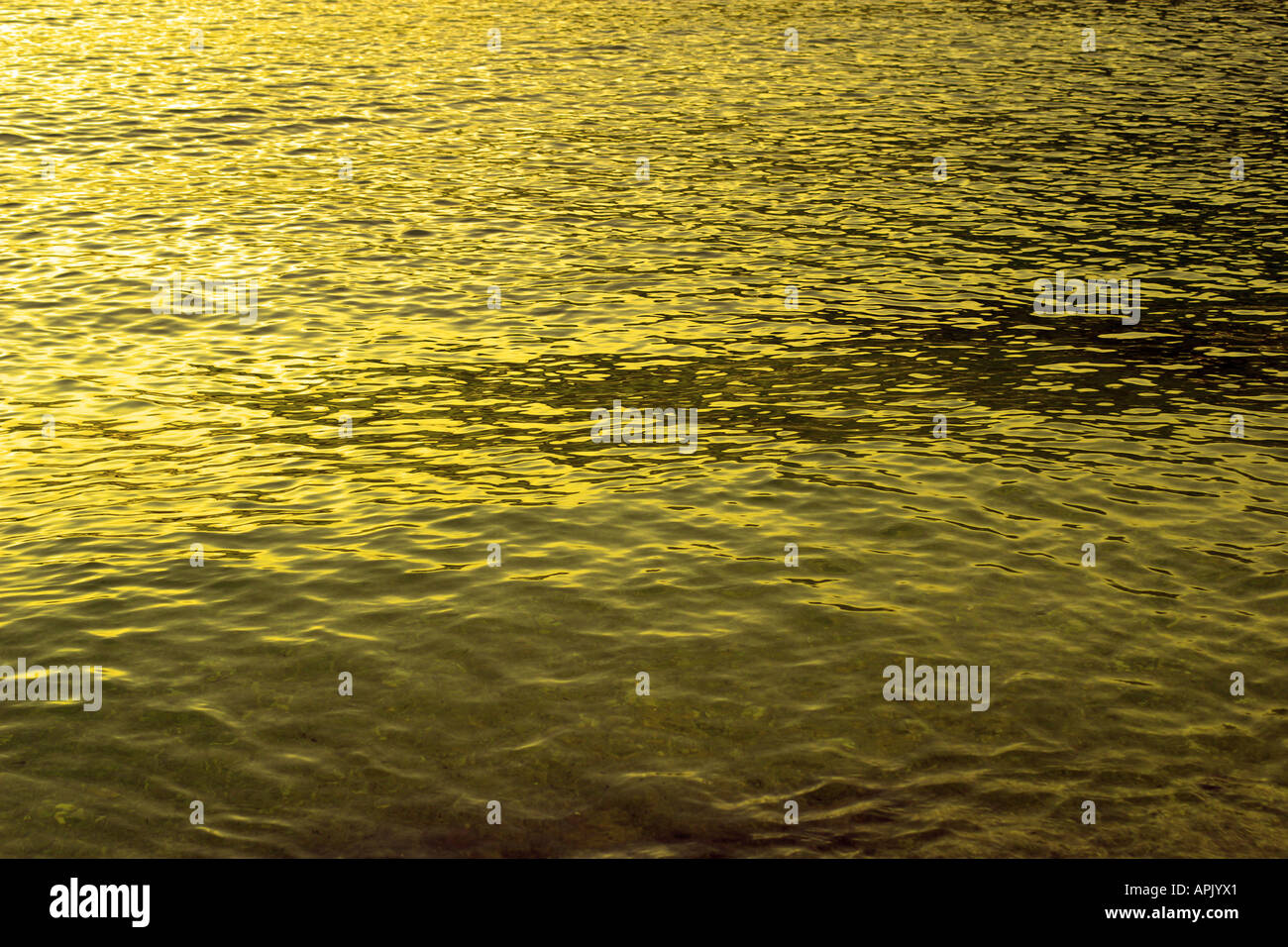 Sun reflecting on Water surface Stock Photo - Alamy
