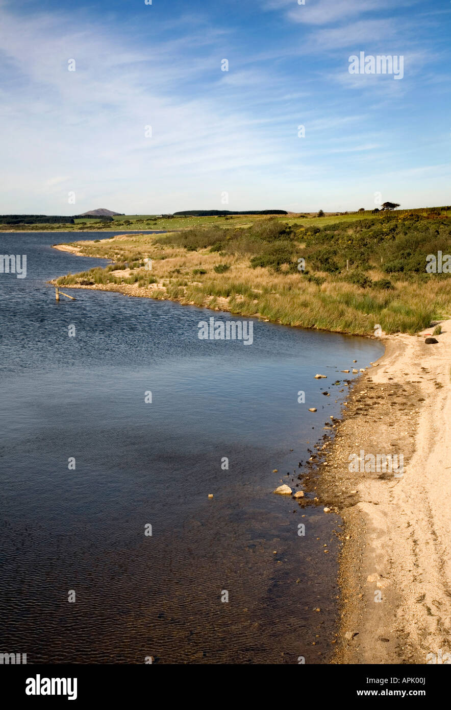 edge of colliford reservoir bodmin moor cornwall Stock Photo - Alamy