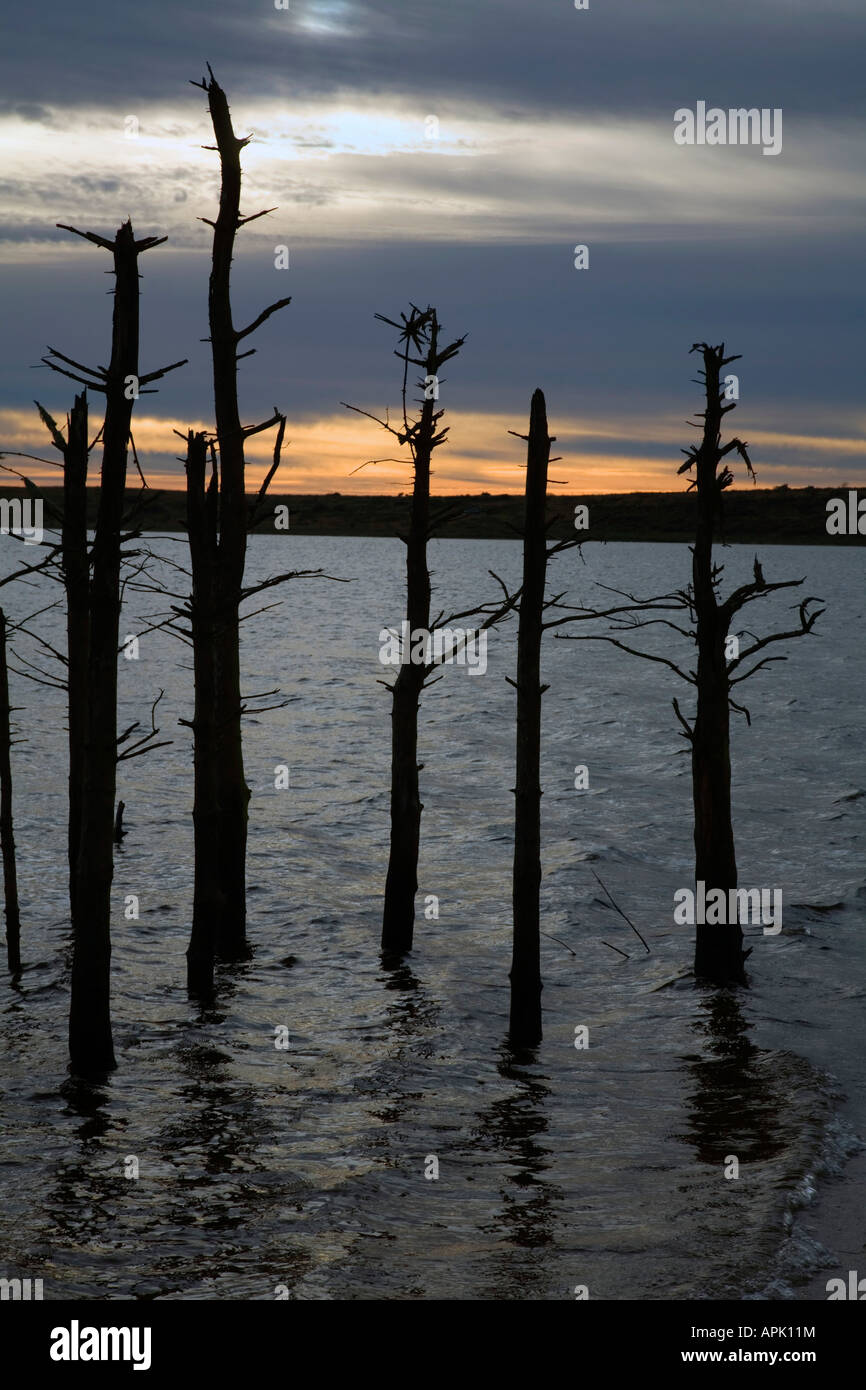looking out over colliford lake cornwall Stock Photo - Alamy