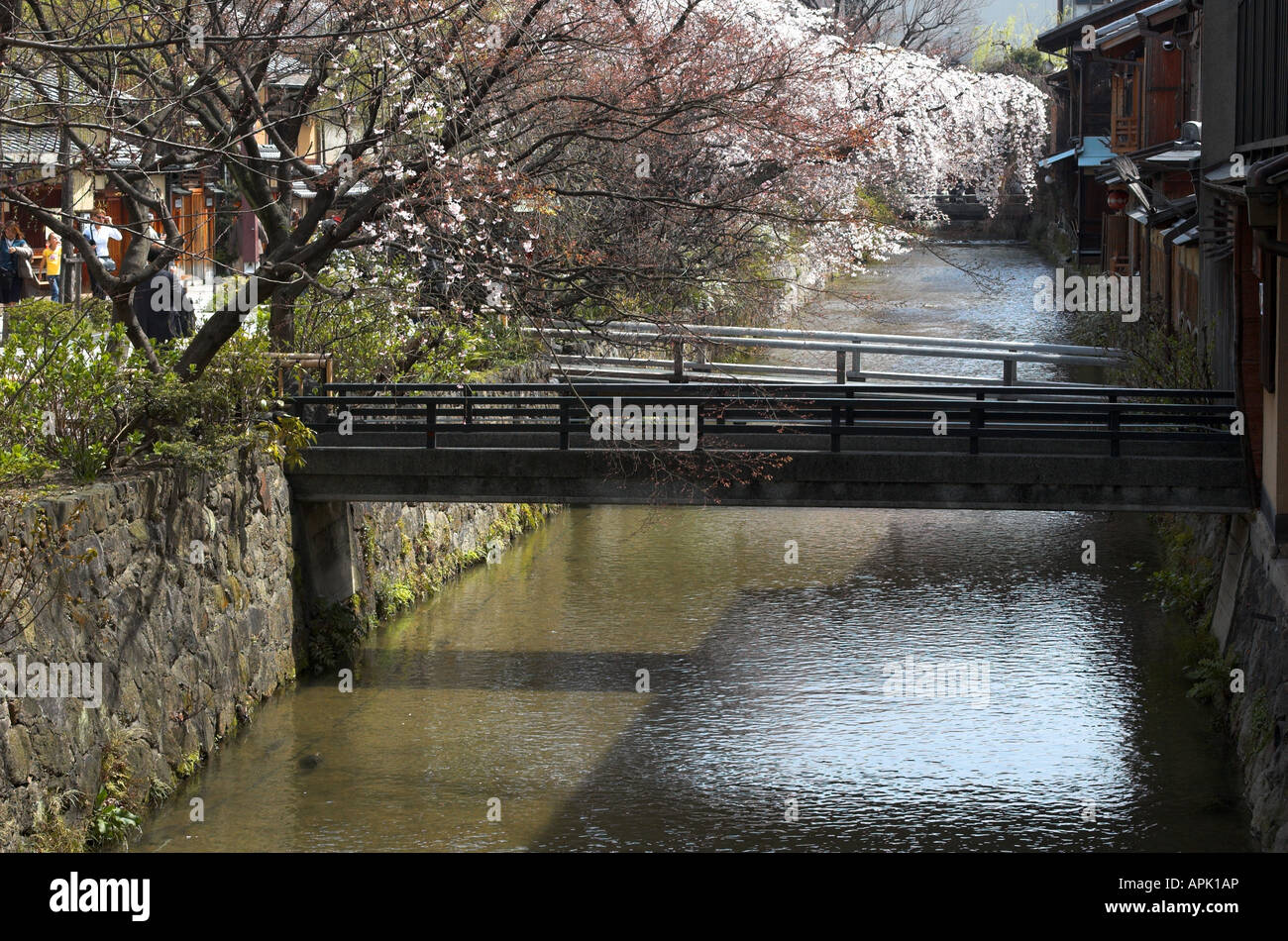 Bridge japan cherry hi-res stock photography and images - Alamy