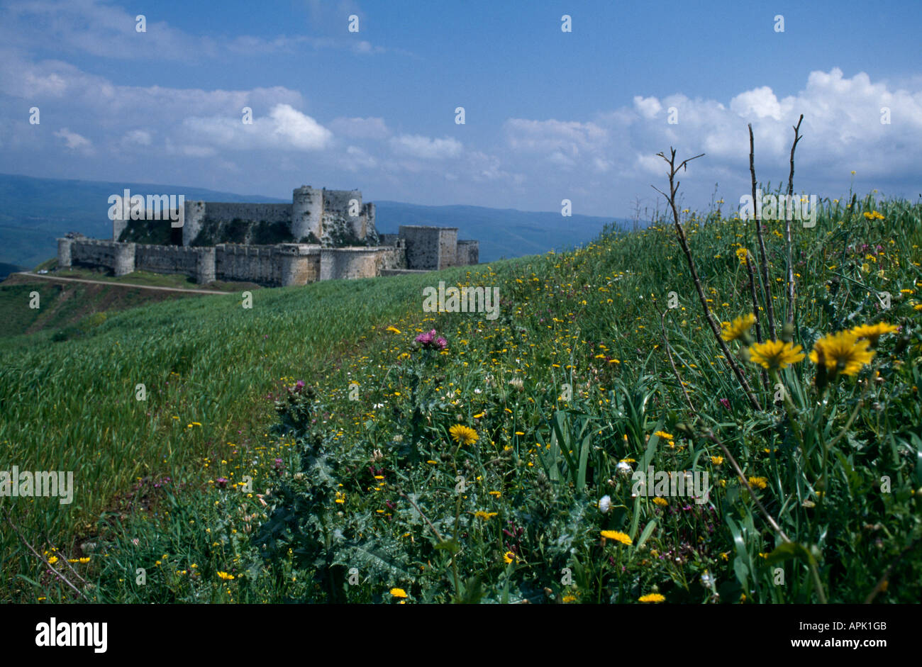 Syrian Castles High Resolution Stock Photography and Images - Alamy