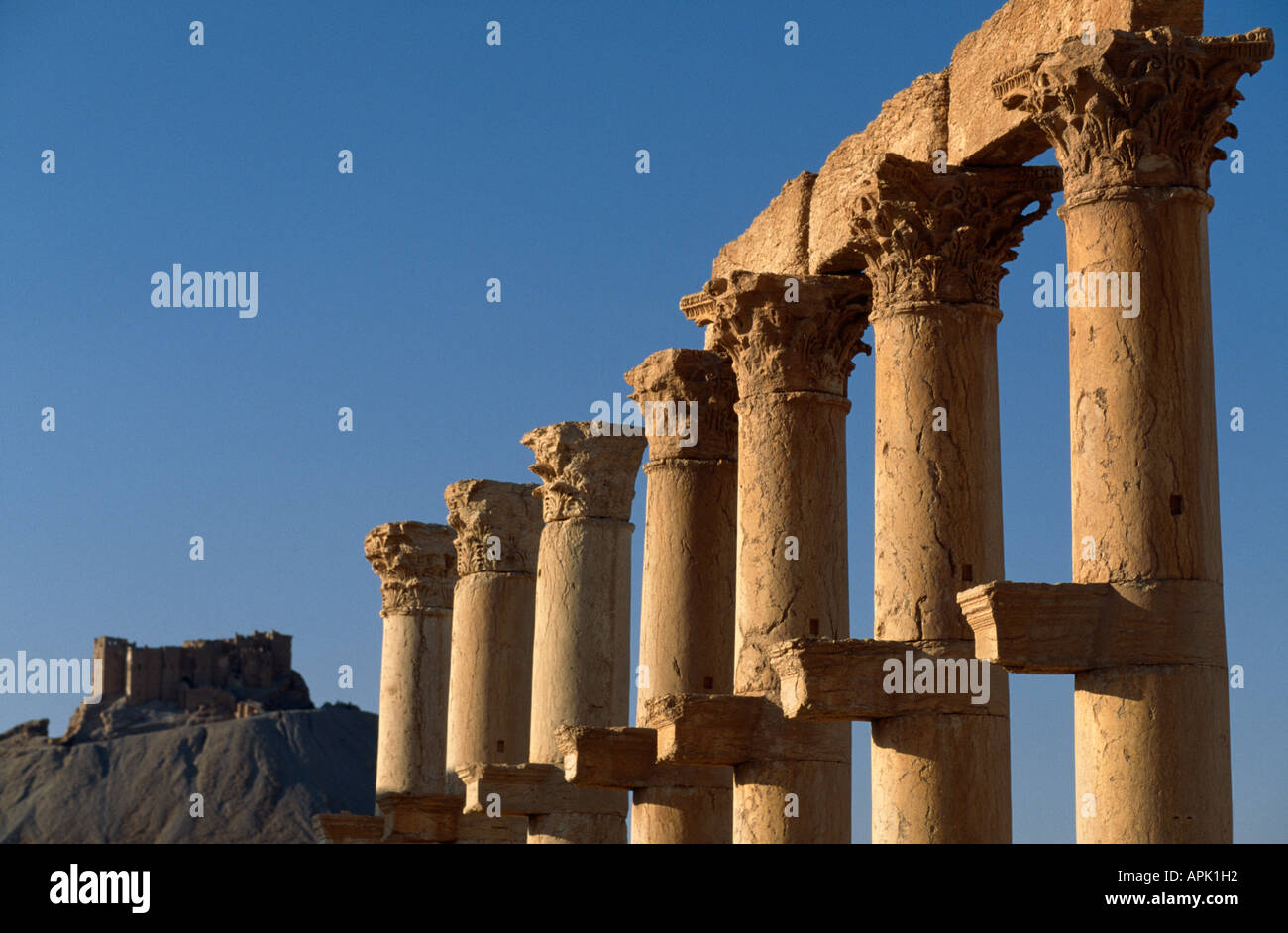 Syria qala'at ibn maan castle hi-res stock photography and images - Alamy