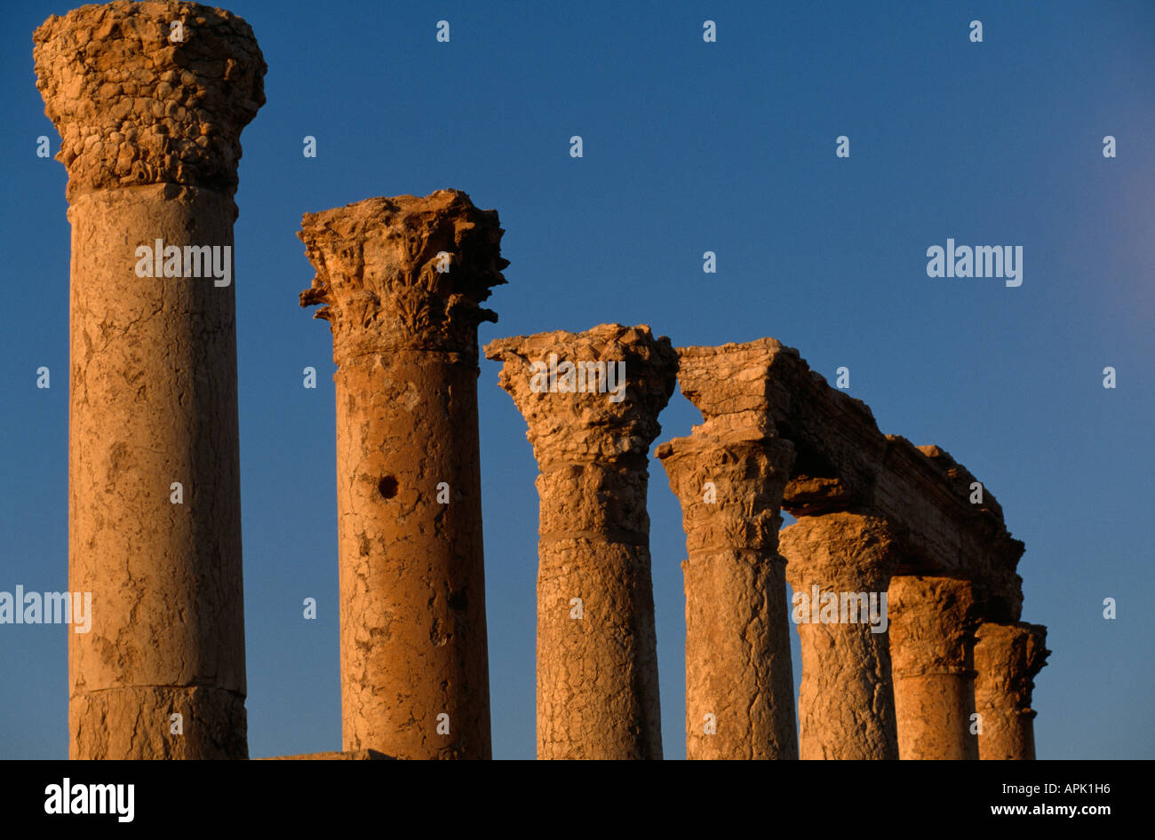 Roman columns along the Great Colonnade, Palmyra, Syria Stock Photo - Alamy
