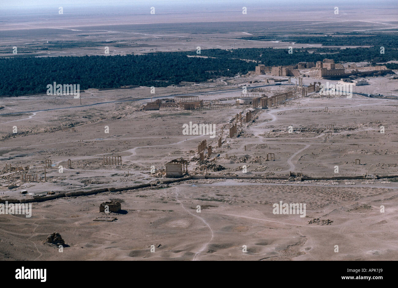 Palmyra viewed from the Arab fort, Syria Stock Photo - Alamy