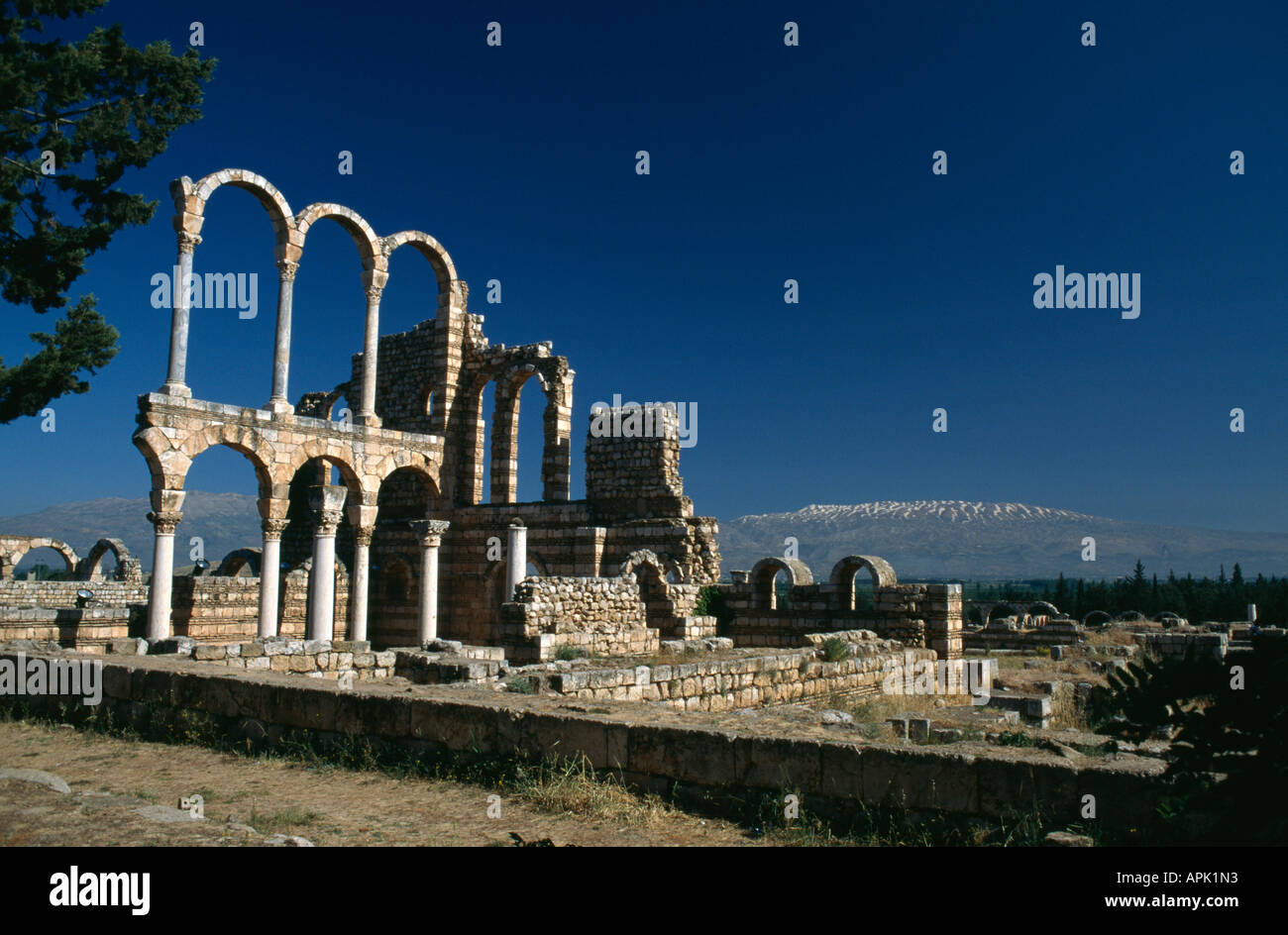 Ruins of the Caliph's Palace, built by Umayyad Caliph Al-Walid ibn ...