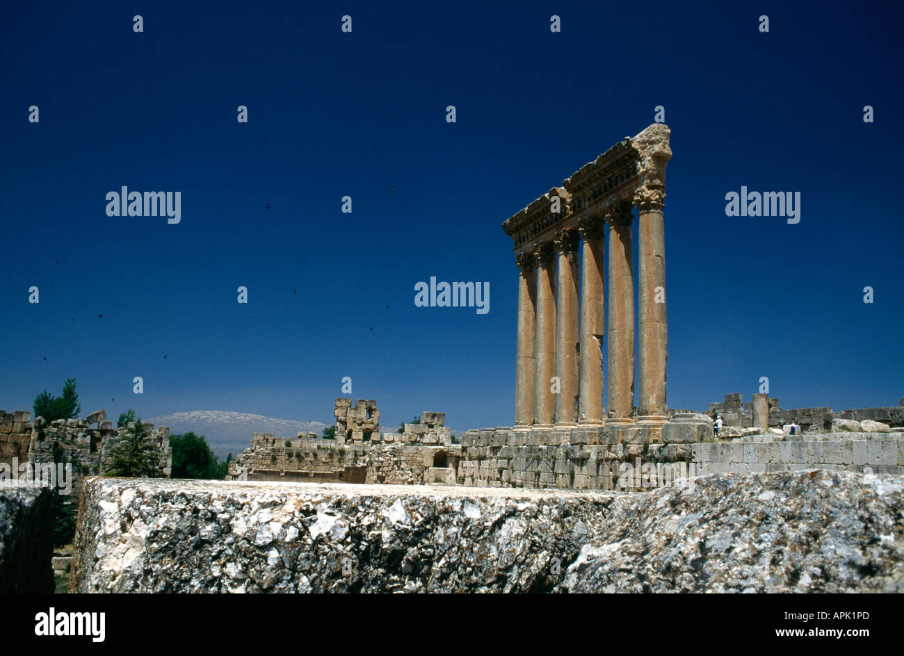 The Temple of Jupiter, Baalbek, Lebanon. The temple has the largest ...
