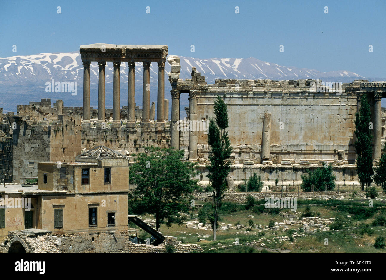 The Roman temple complex at Baalbek, Lebanon Stock Photo - Alamy