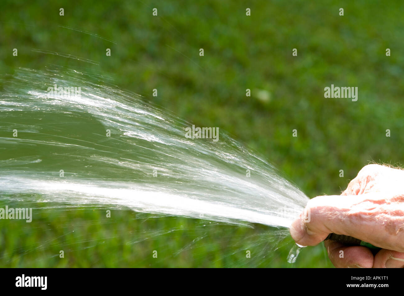 male hand watering with garden hose Stock Photo - Alamy