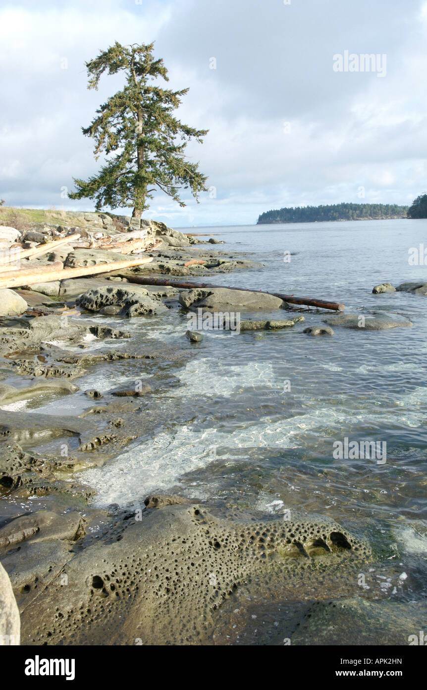 Driftwood and rock formations on the shore at Drumbeg Provincial Park ...