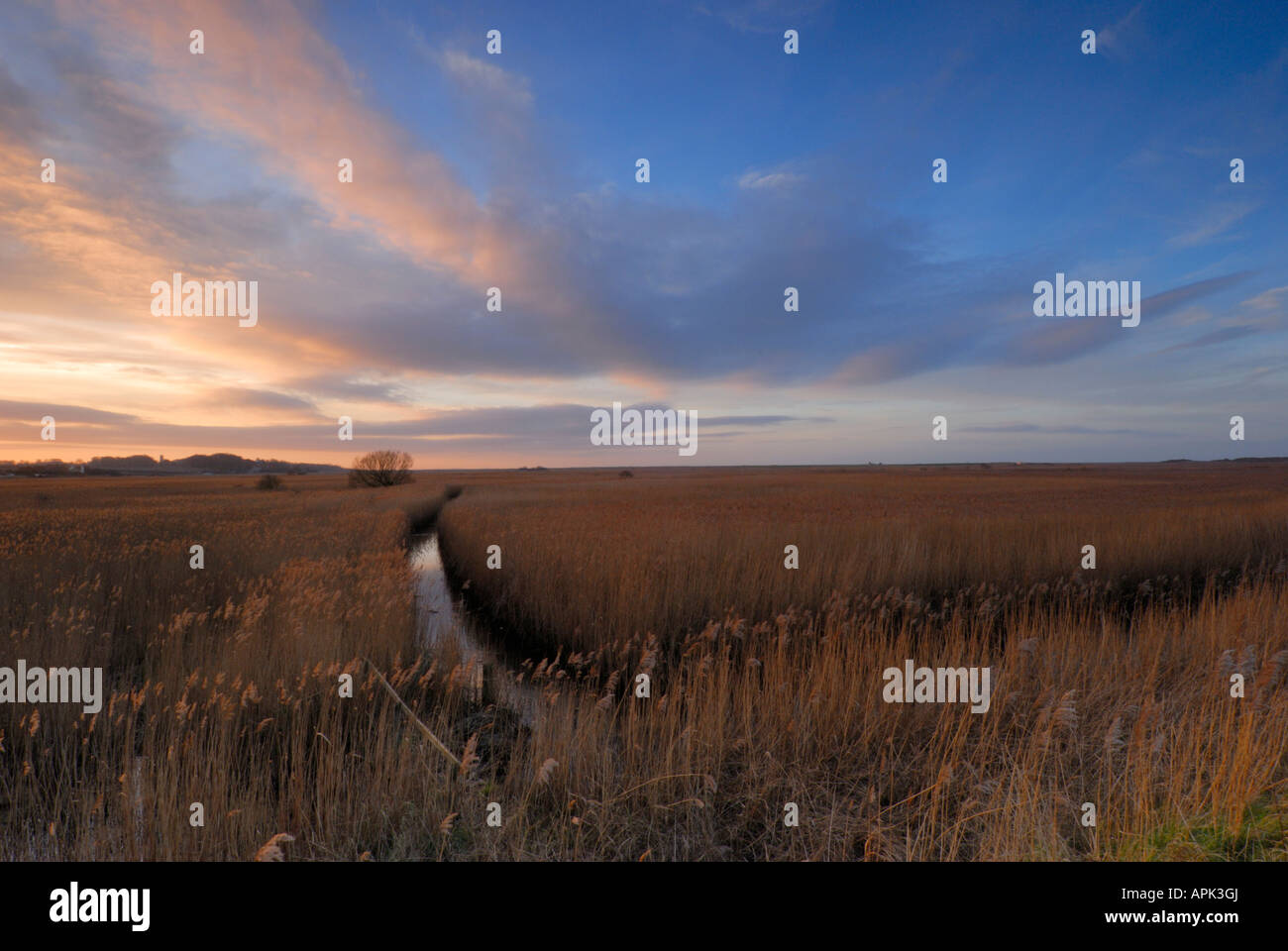 Cley Marshes Nature Reserve,Norfolk England UK Stock Photo - Alamy Cley Marshes Nature Reserve,Norfolk England UK Stock Photo - Alamy