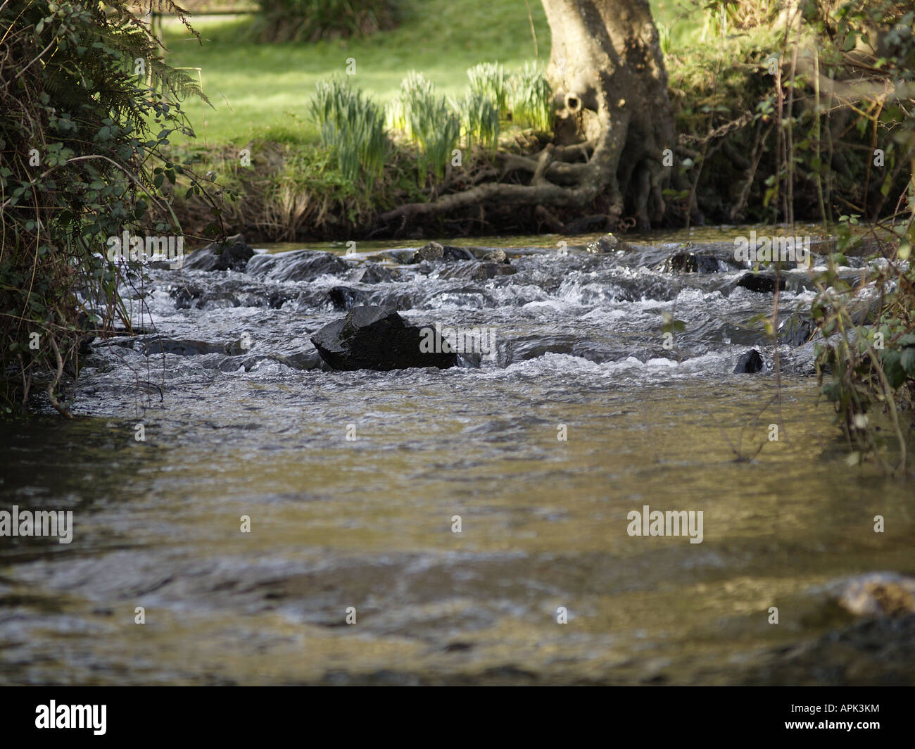 Fast moving stream of water hi-res stock photography and images - Alamy