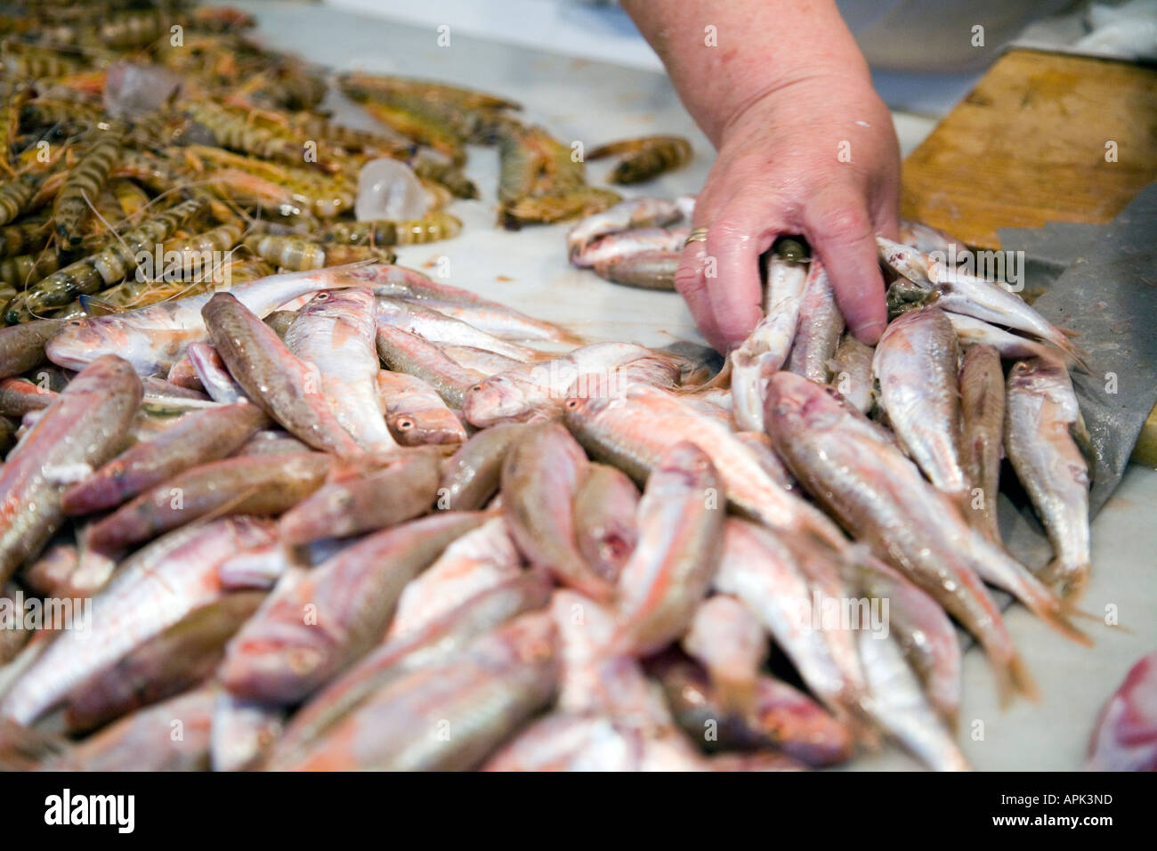 Salmonete red mullet fish market hi-res stock photography and images ...