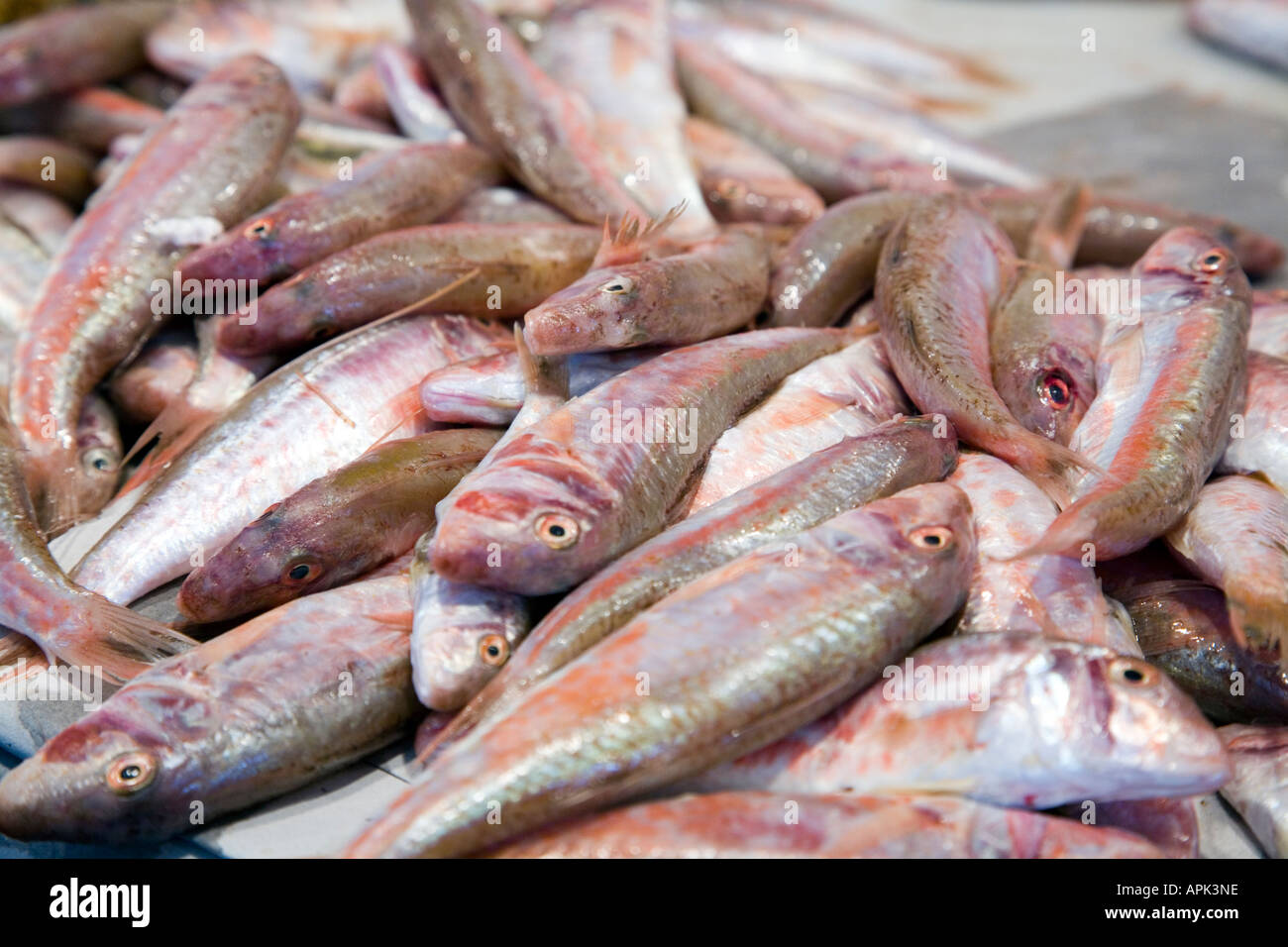 Still life of fresh fish for sale on a Spanish market red mullets Stock ...