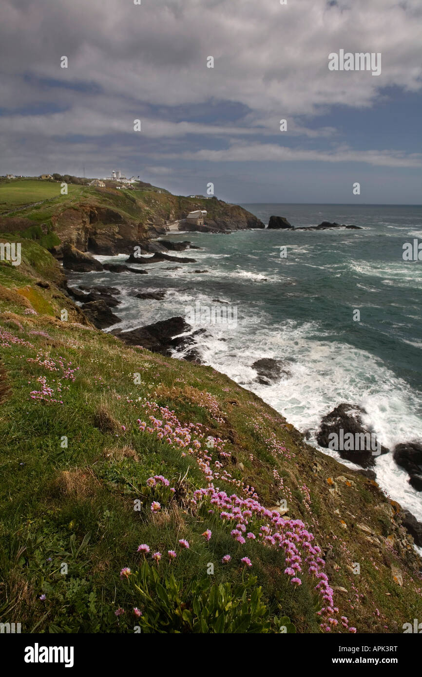 lizard point cornwall Stock Photo - Alamy