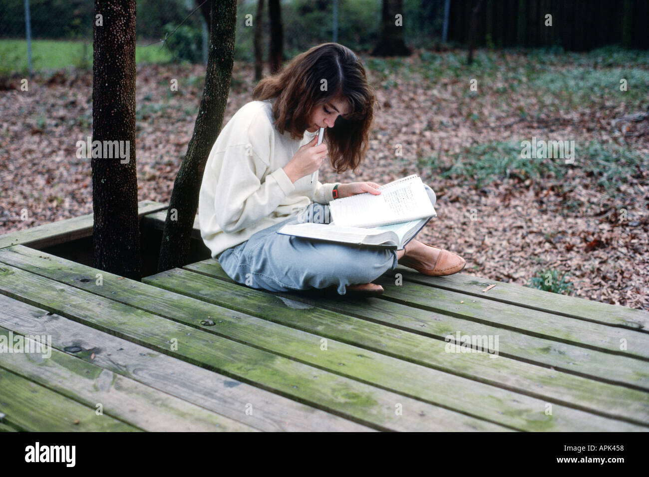 Teen aged girl studying under tree Stock Photo - Alamy