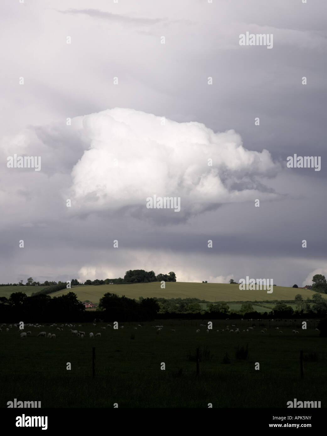 Strange cumulus cloud formation Stock Photo - Alamy