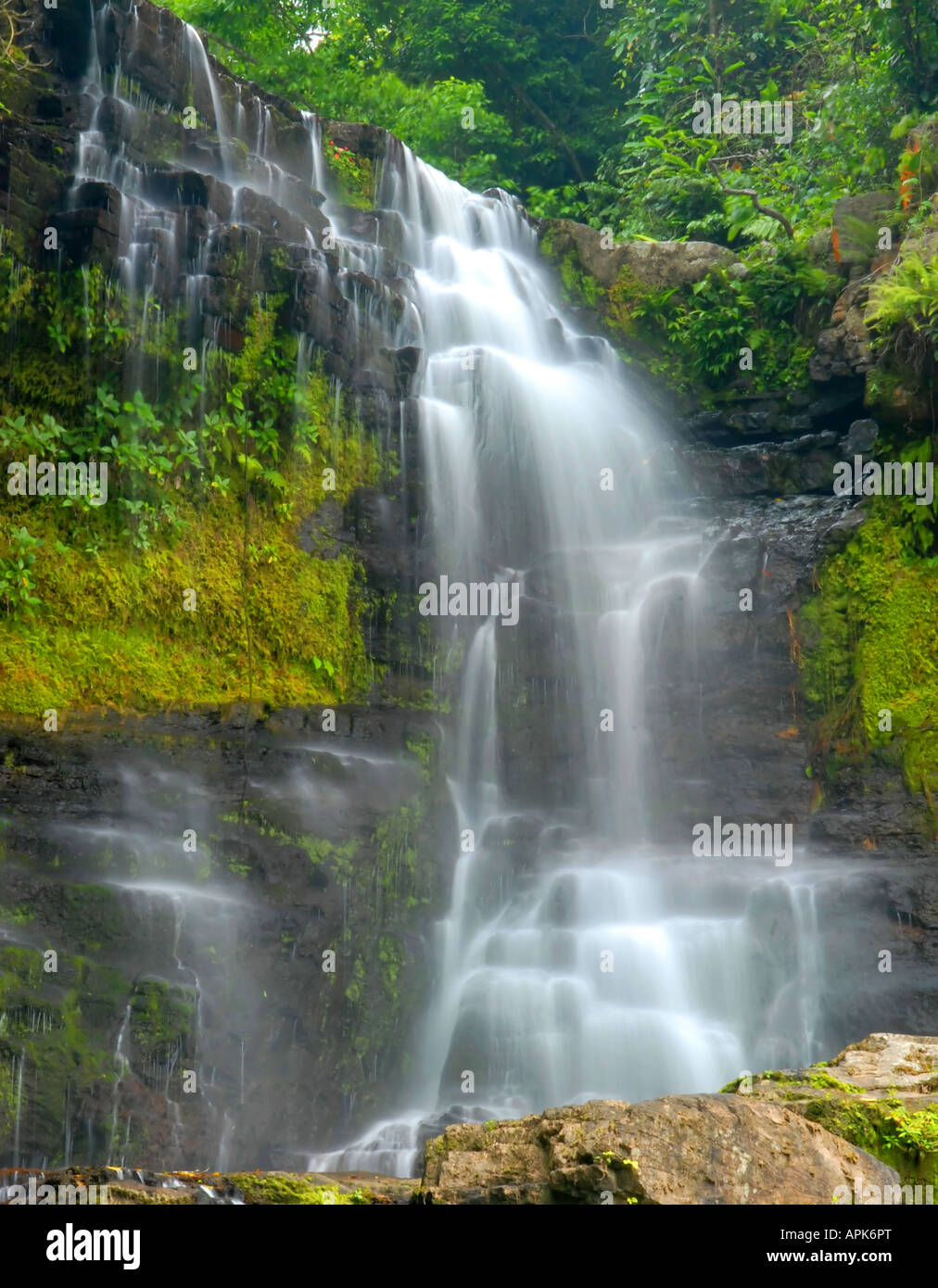 waterfall through a dense lush forest Stock Photo - Alamy
