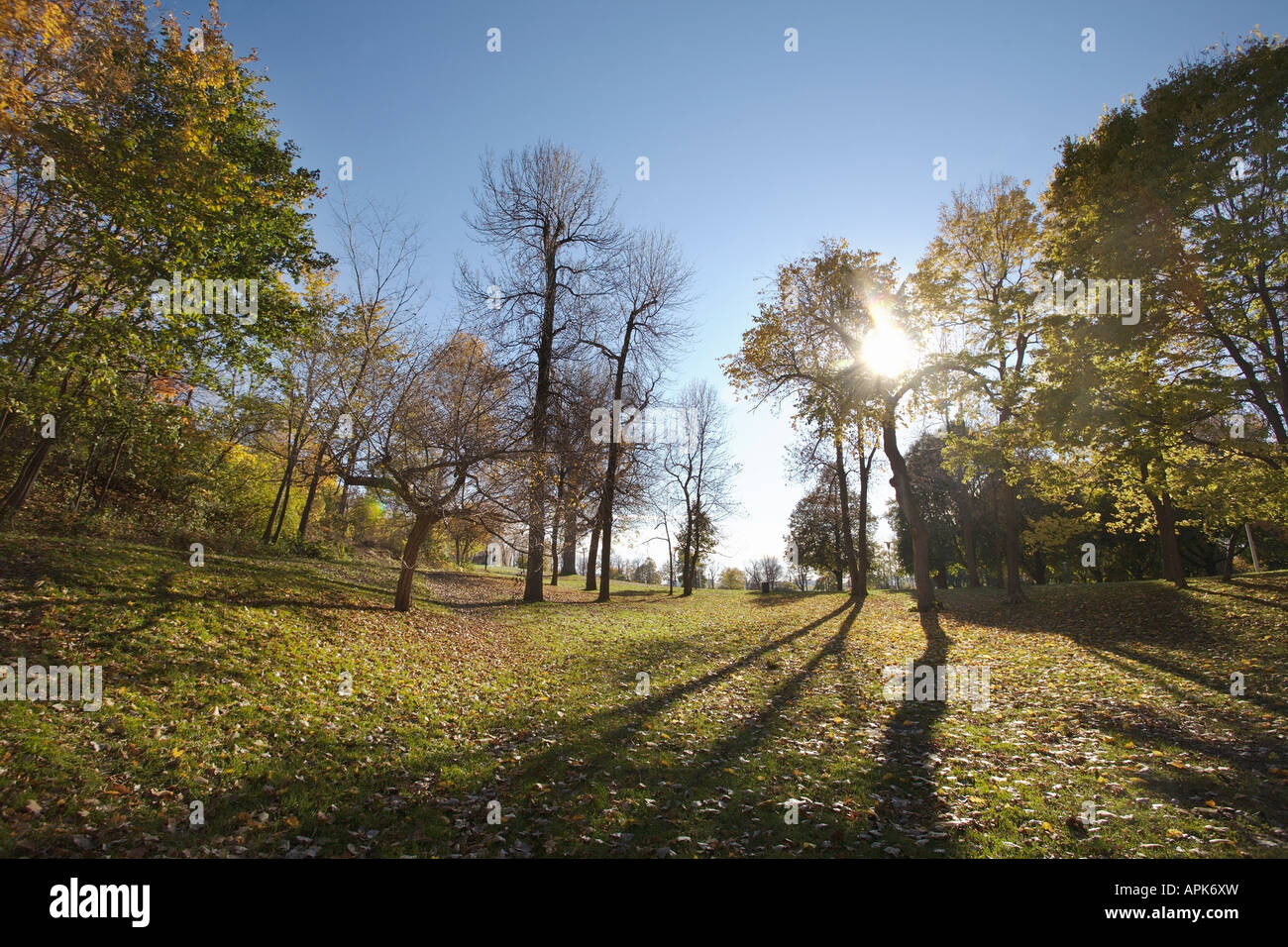 Autumn sun and trees. Park Jean-Drapeau, St Helen's Island, Montreal ...