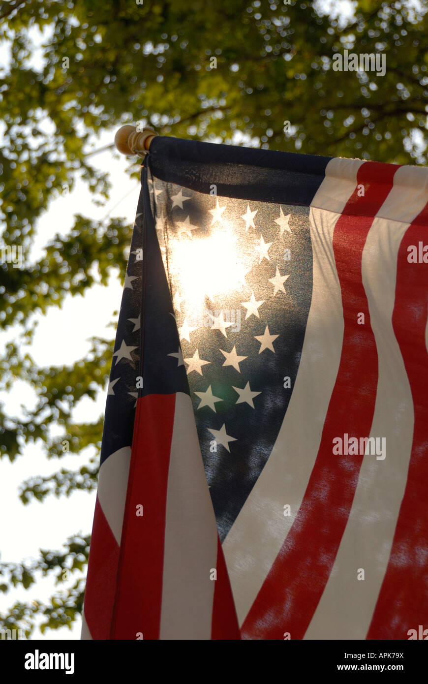 United States Flag with sun behind flag through leaves Stock Photo - Alamy