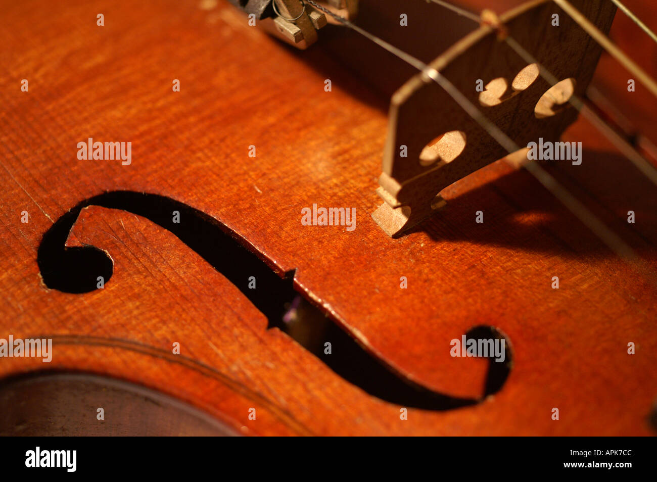 F hole bridge and strings on Violin Stock Photo - Alamy