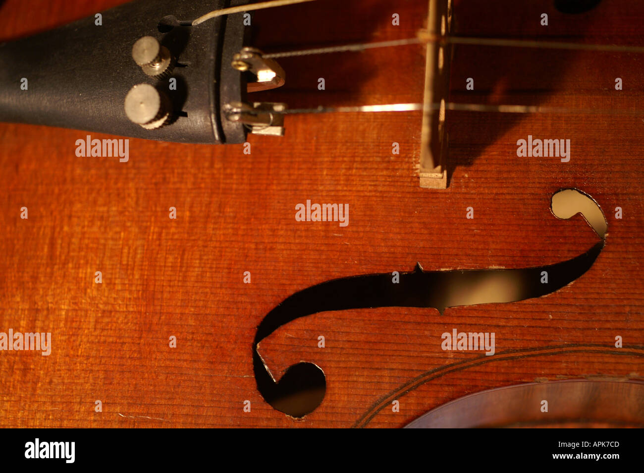 F hole bridge and strings on Violin Stock Photo - Alamy