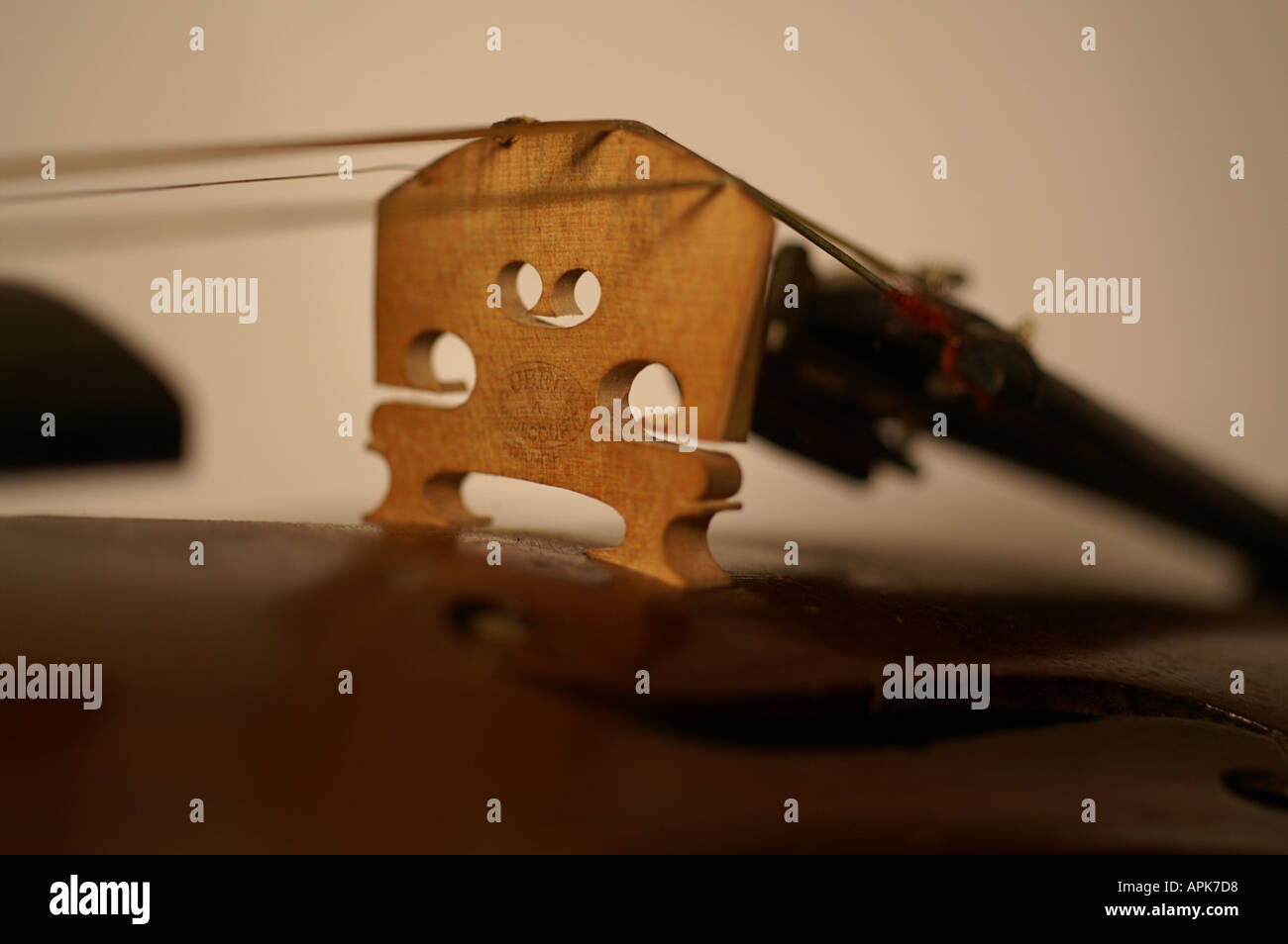 Strings and bridge of a violin Stock Photo - Alamy