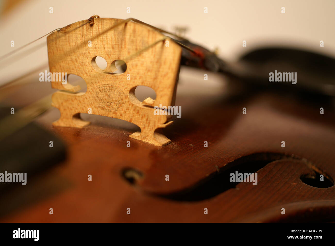 Strings and bridge of a violin Stock Photo - Alamy