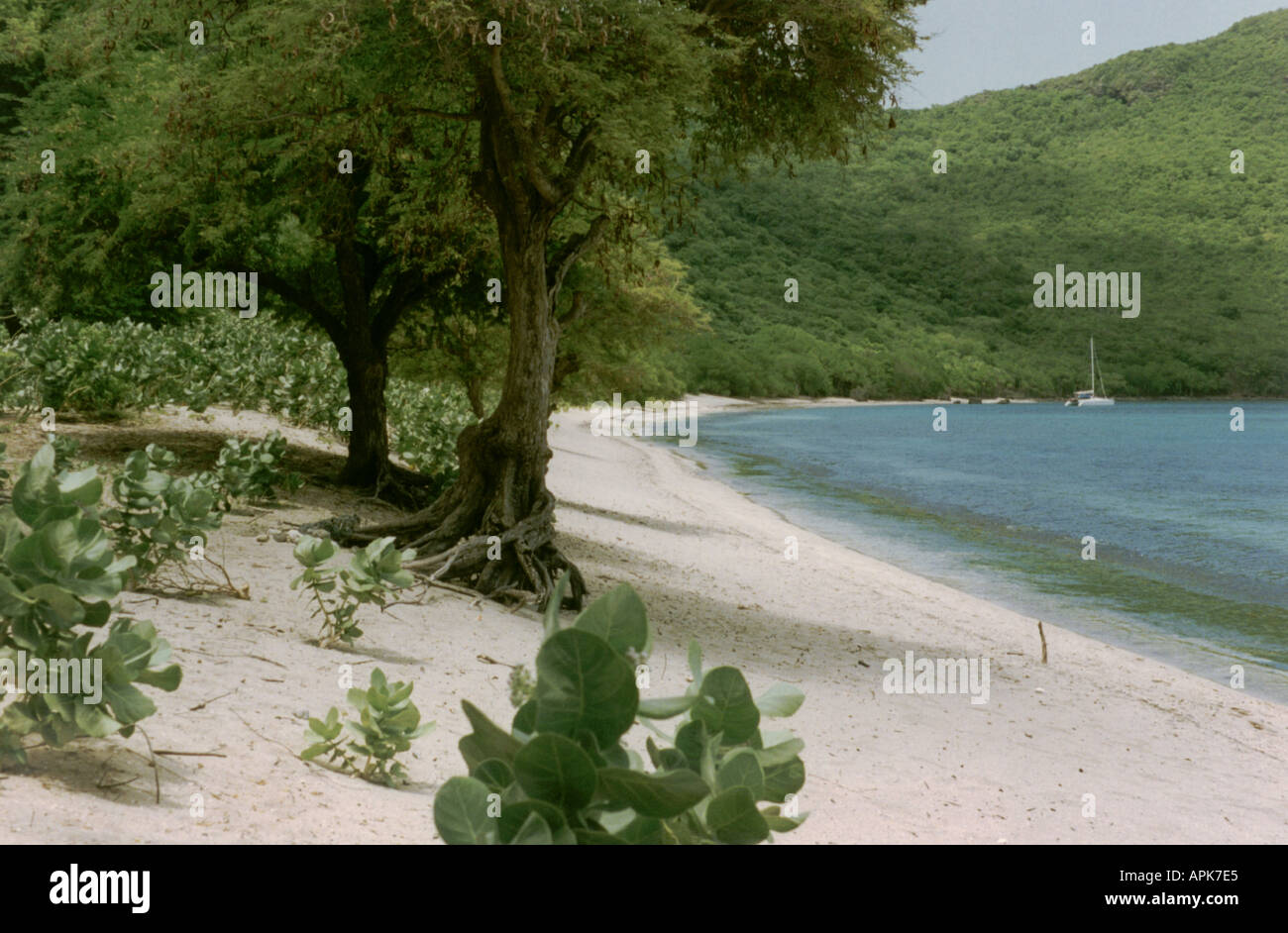 Deserted Caribbean island beach Stock Photo - Alamy