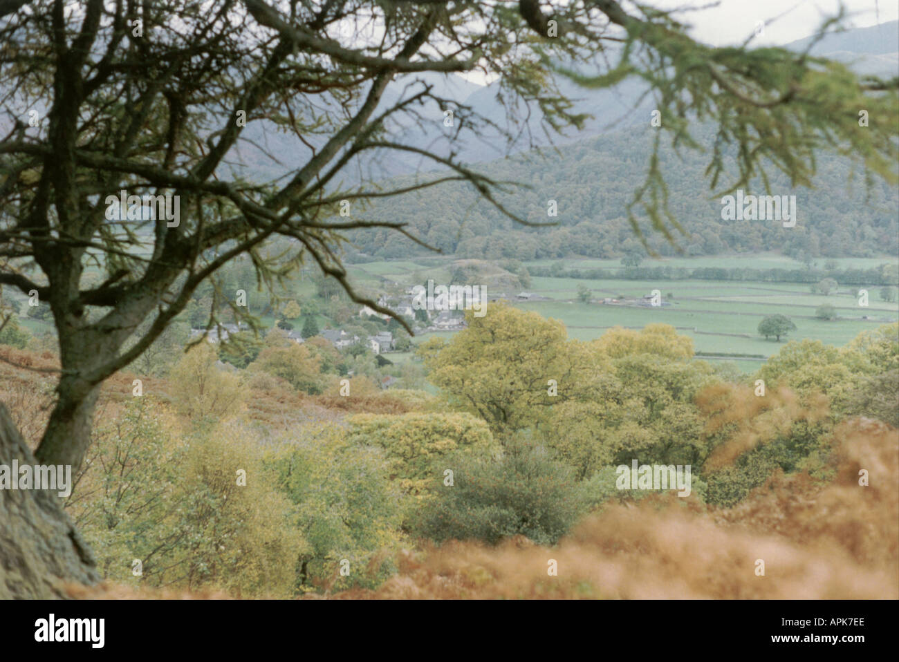 Lake district in the Autumn Fall Stock Photo - Alamy