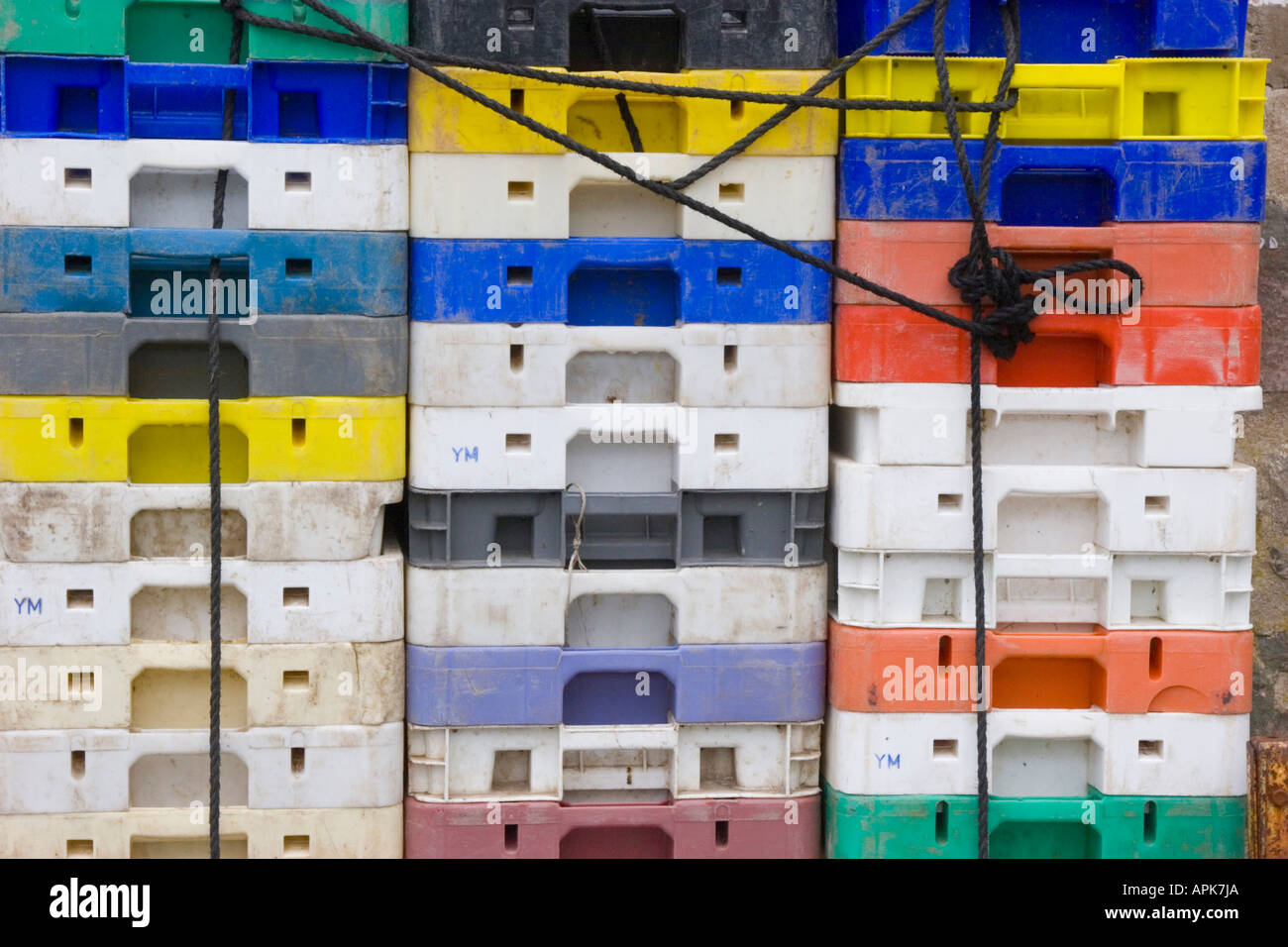 Macro fish in crates hi-res stock photography and images - Alamy