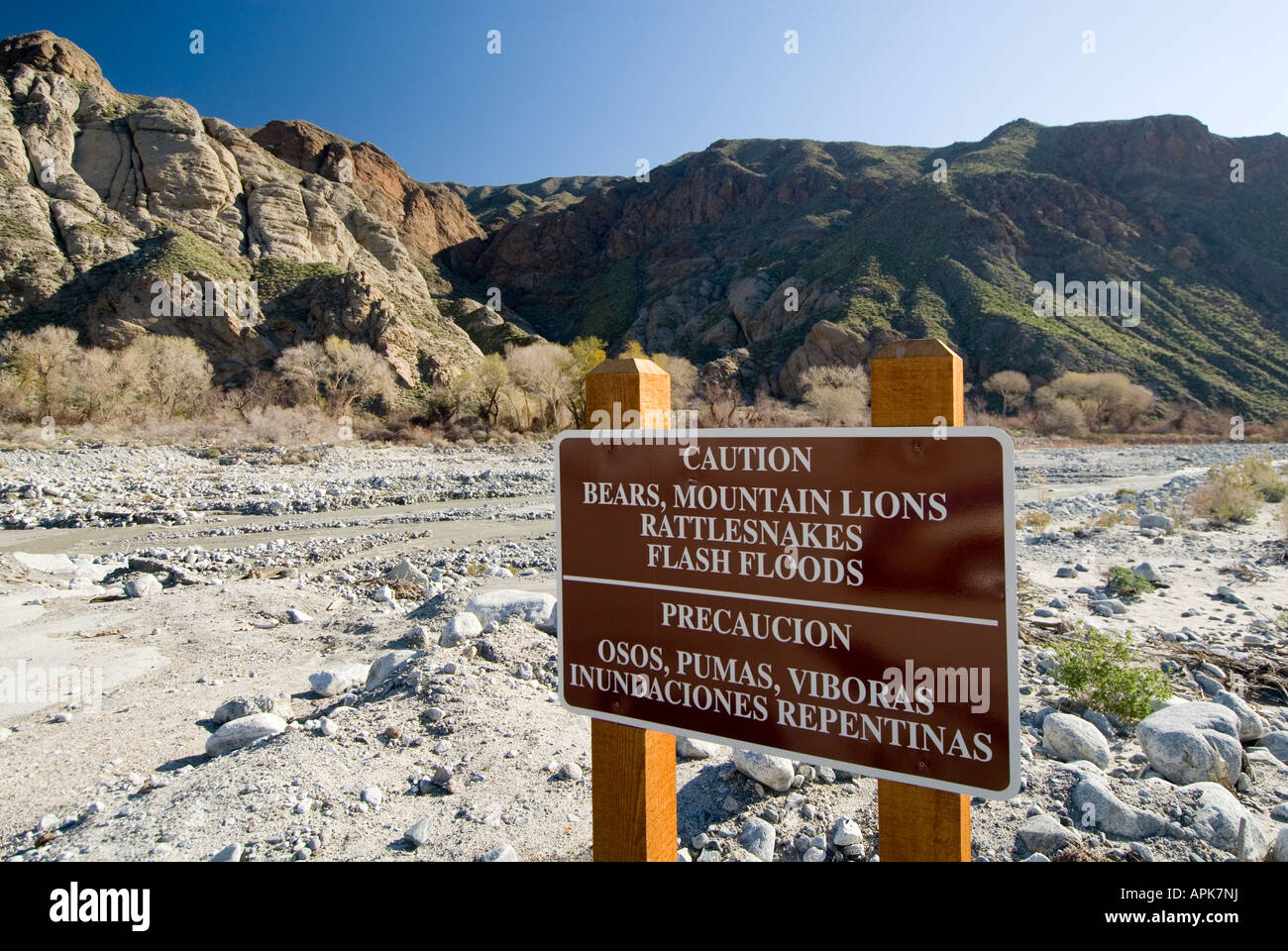 Warning sign bears mountain lions rattlesnakes and flash foods ...