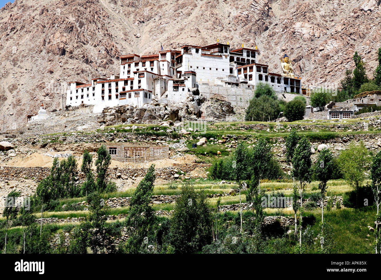 Likir Gompa buddhist monastery in Ladakh India Stock Photo - Alamy