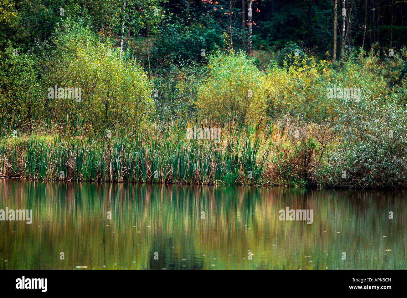 Reflections In A Lake Stock Photo - Alamy