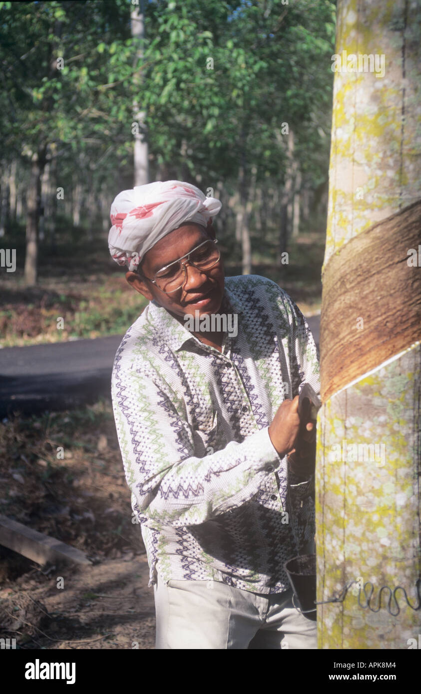 Rubber tapper hi-res stock photography and images - Alamy