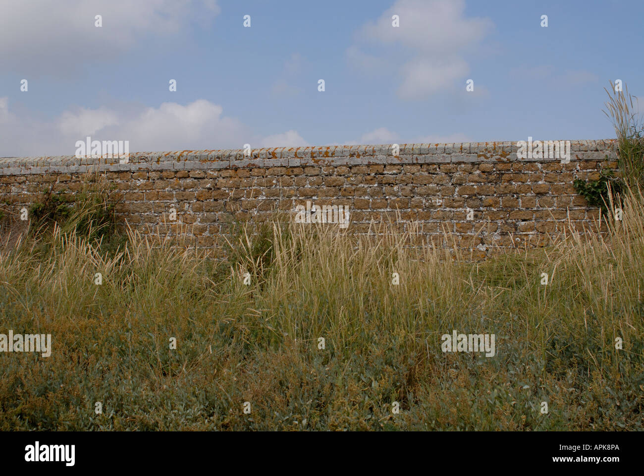 Ancient brick sea wall beside a now silted up quay in Pagham Harbour ...