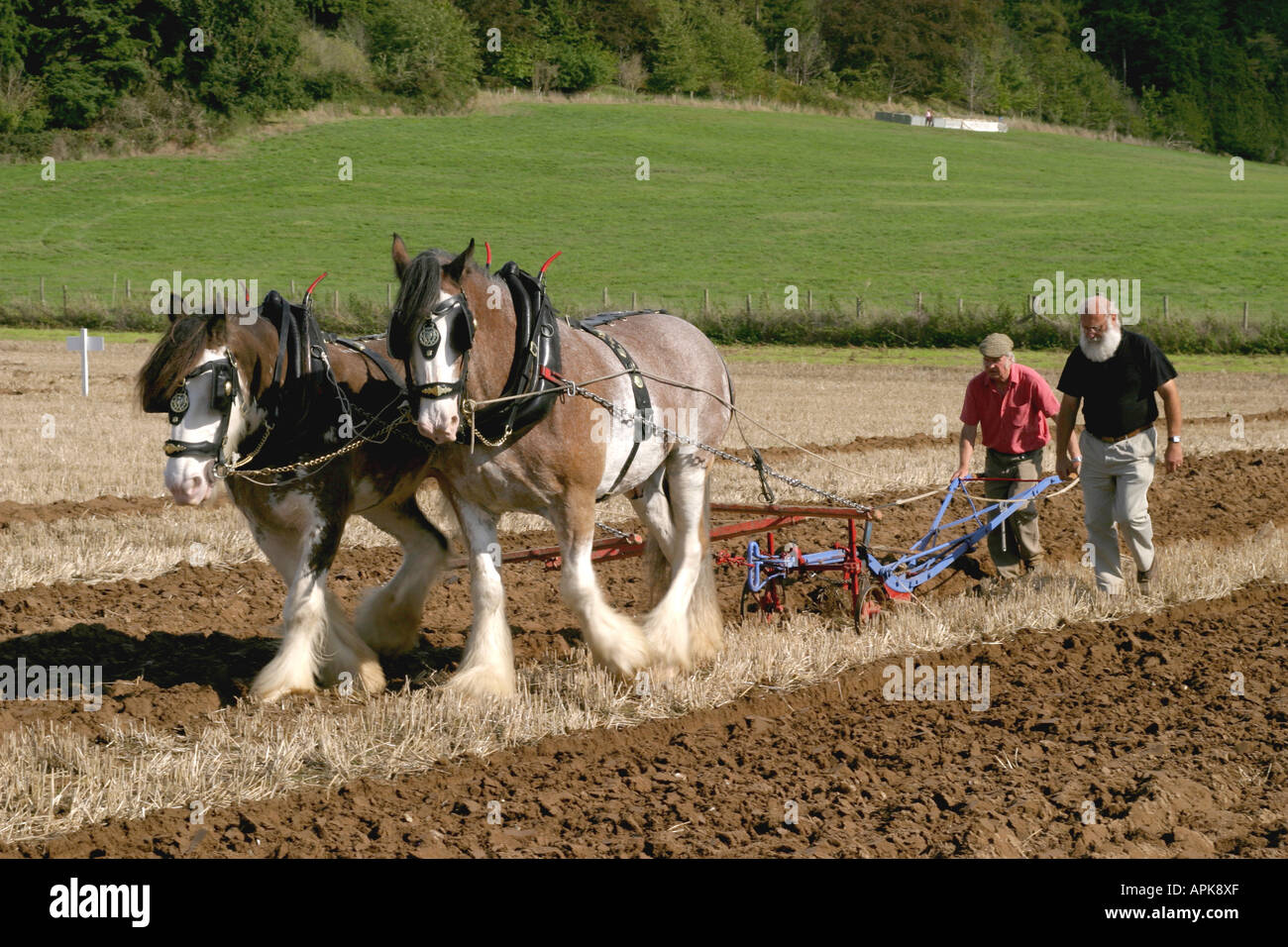 Loseley Park Ploughing Match and Country Fair September 2006 Stock ...