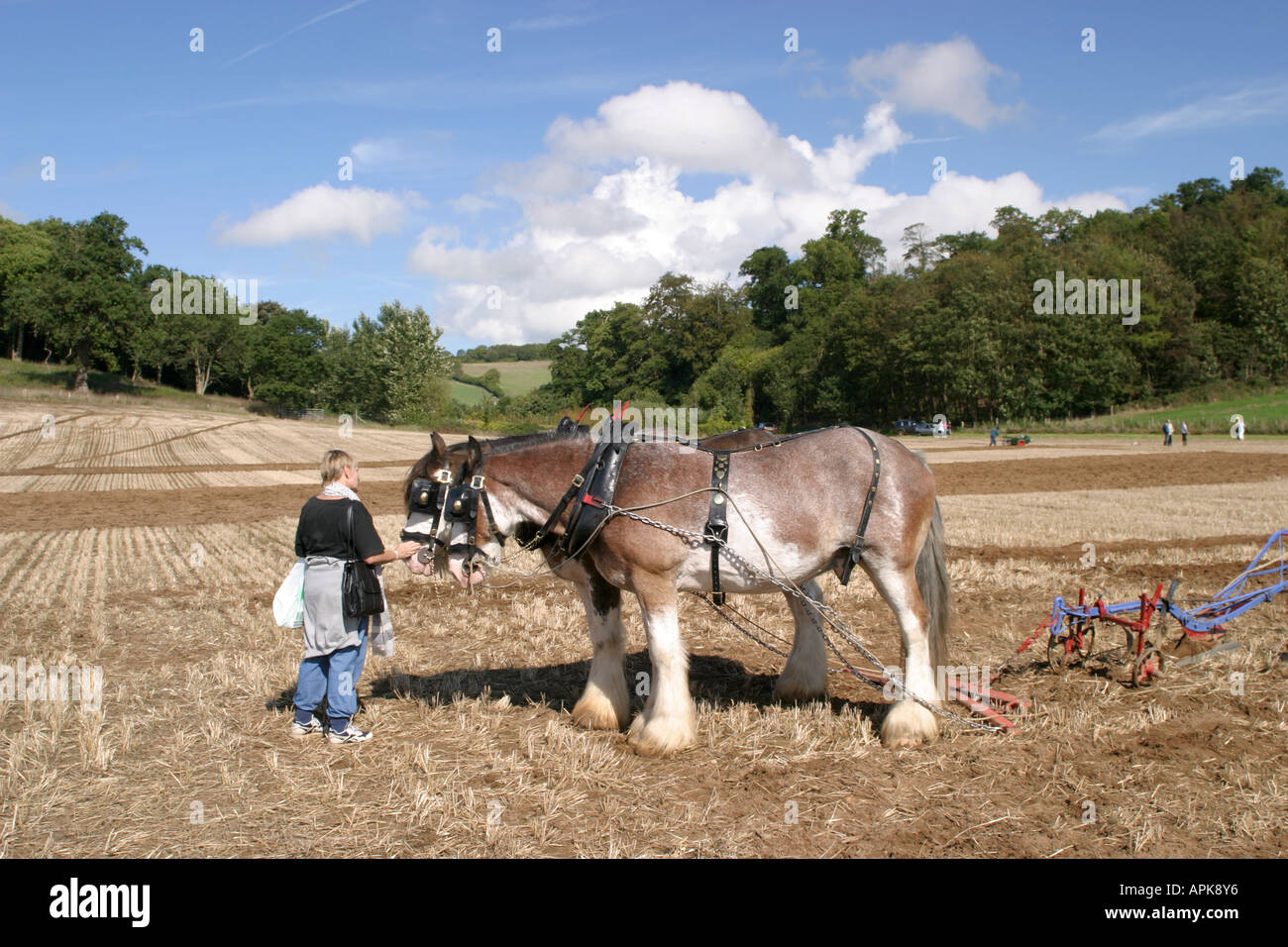 Loseley Park Ploughing Match and Country Fair September 2006 Stock ...