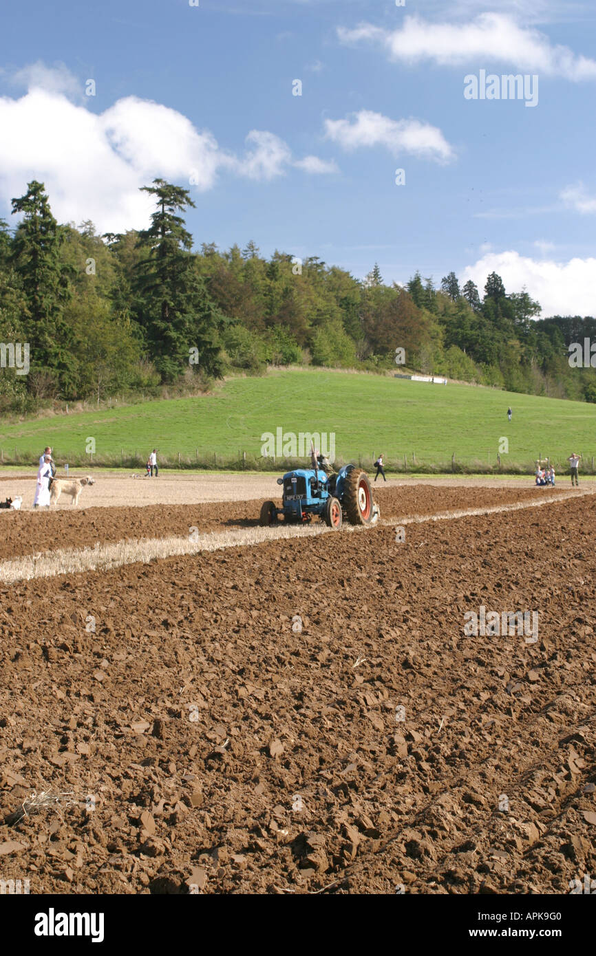 Ploughing with old major tractor hi-res stock photography and images ...