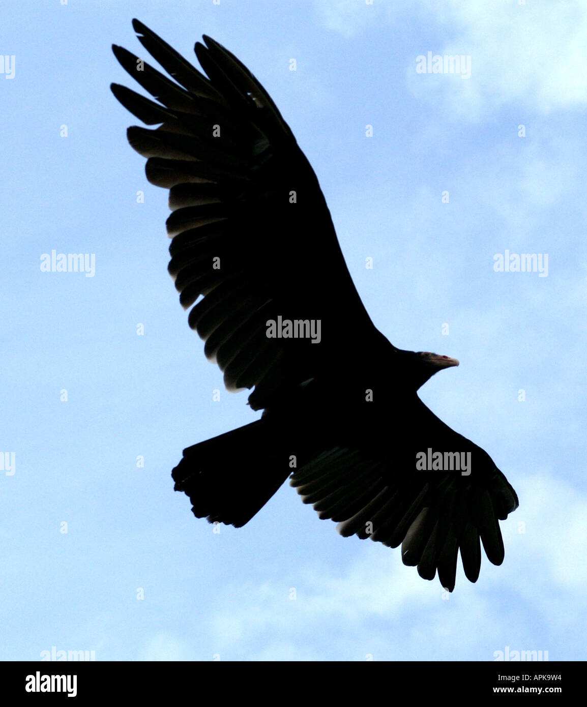Soaring ambition hi-res stock photography and images - Alamy