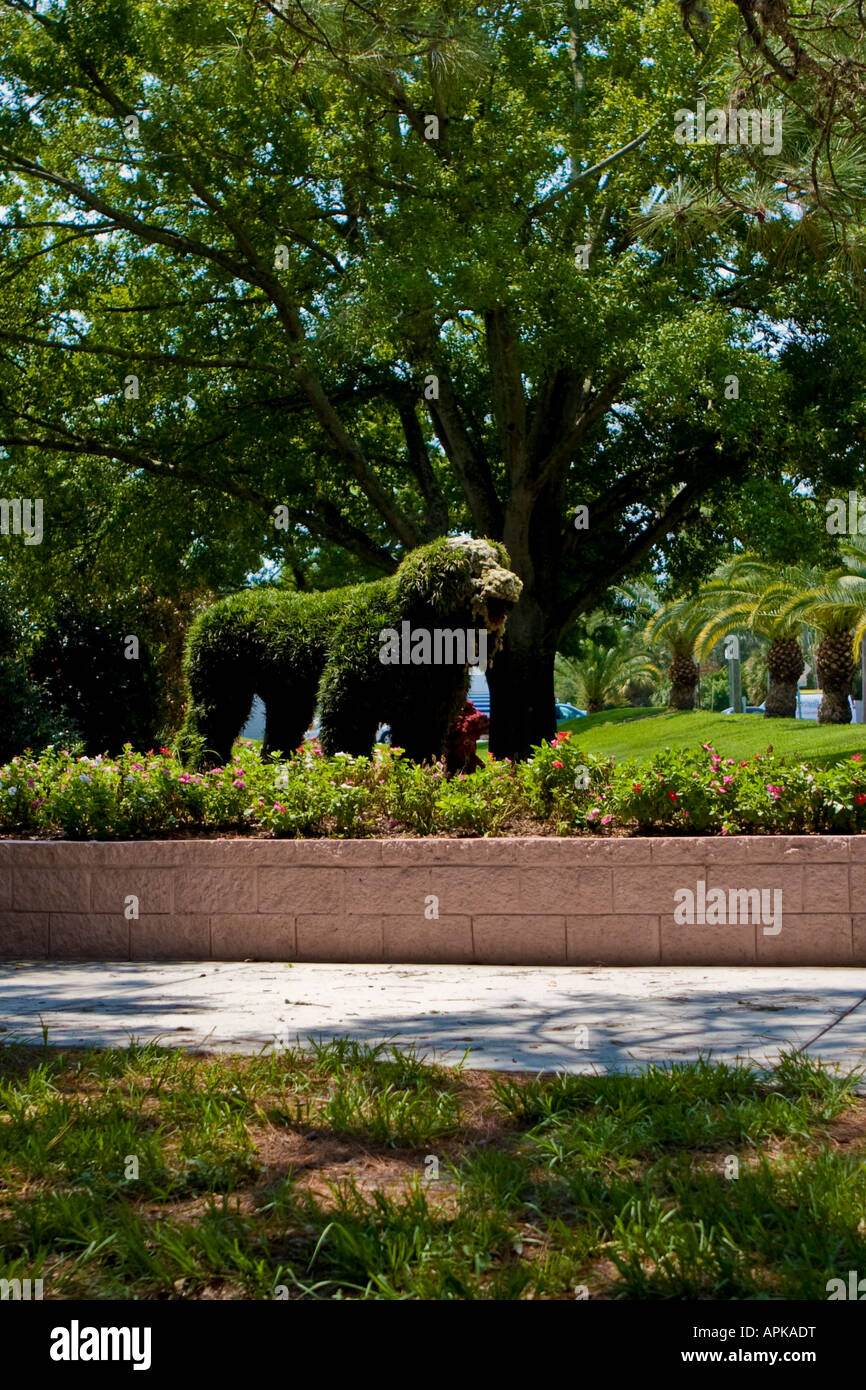 Bush Trimmed in the Shape of a Dog Stock Photo - Alamy