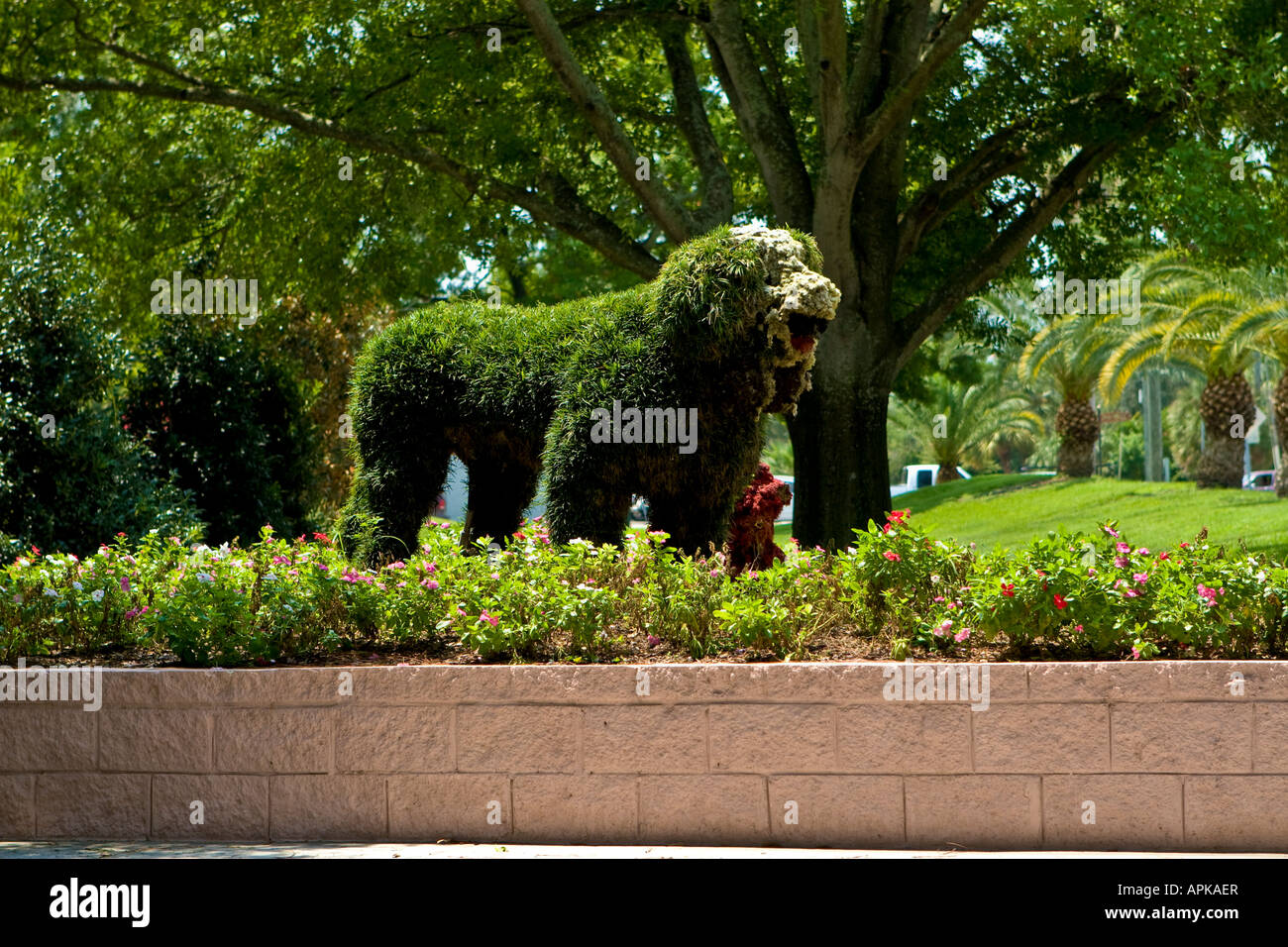 Dog topiary hi-res stock photography and images - Alamy