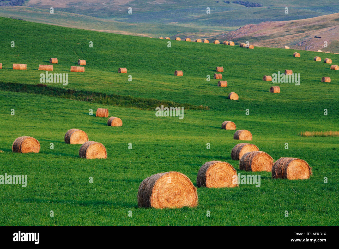Longview alberta hi-res stock photography and images - Alamy