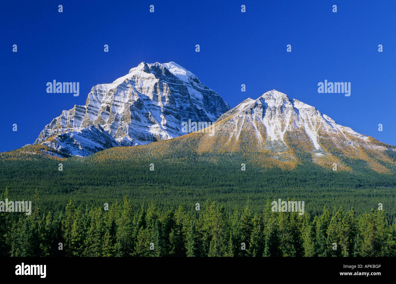 Mt temple banff hi-res stock photography and images - Alamy