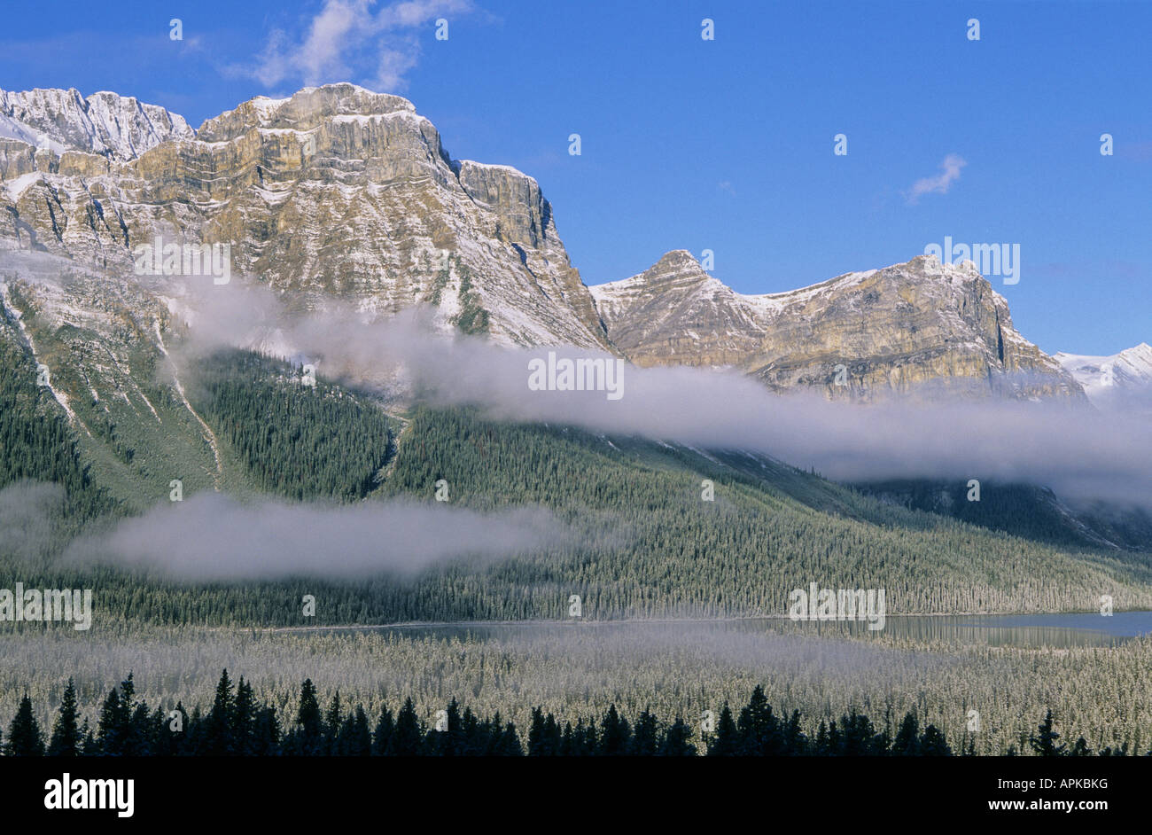 Hector lake banff national park hi-res stock photography and images - Alamy