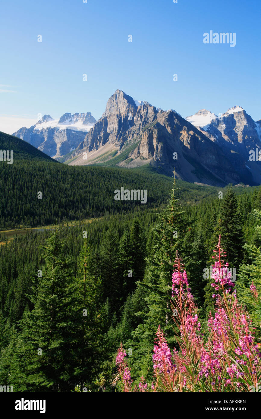 Mt babel hi-res stock photography and images - Alamy