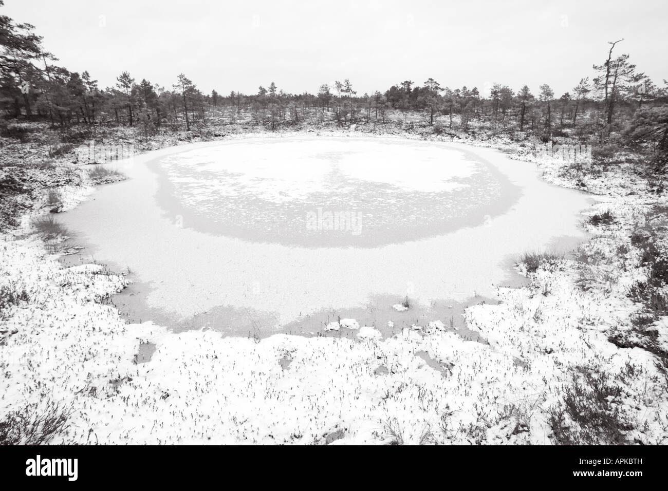 Frozen bog pool Stock Photo - Alamy