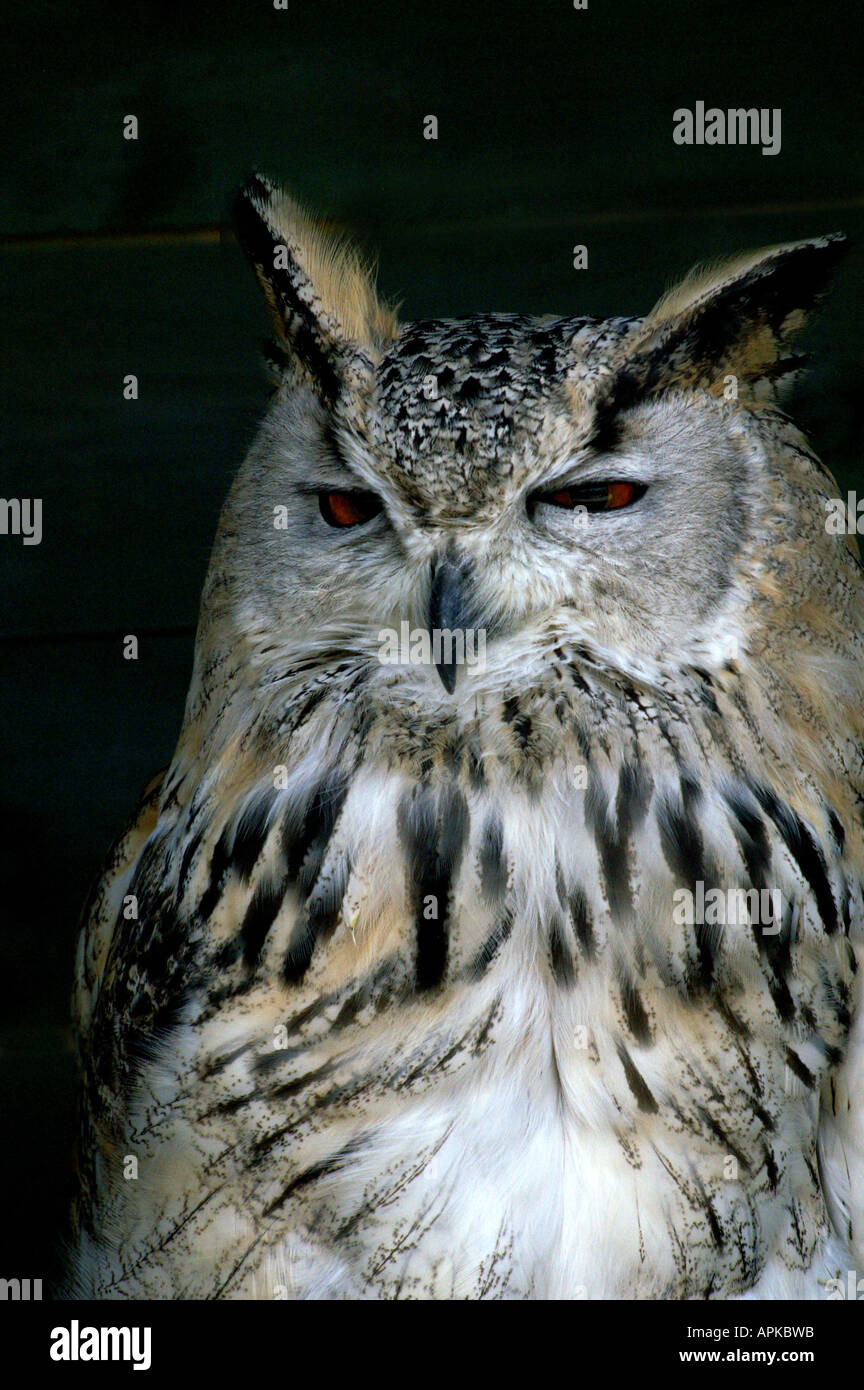 Xturks hi-res stock photography and images - Alamy